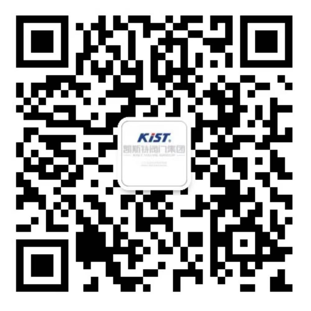 KIST VALVE GROUP